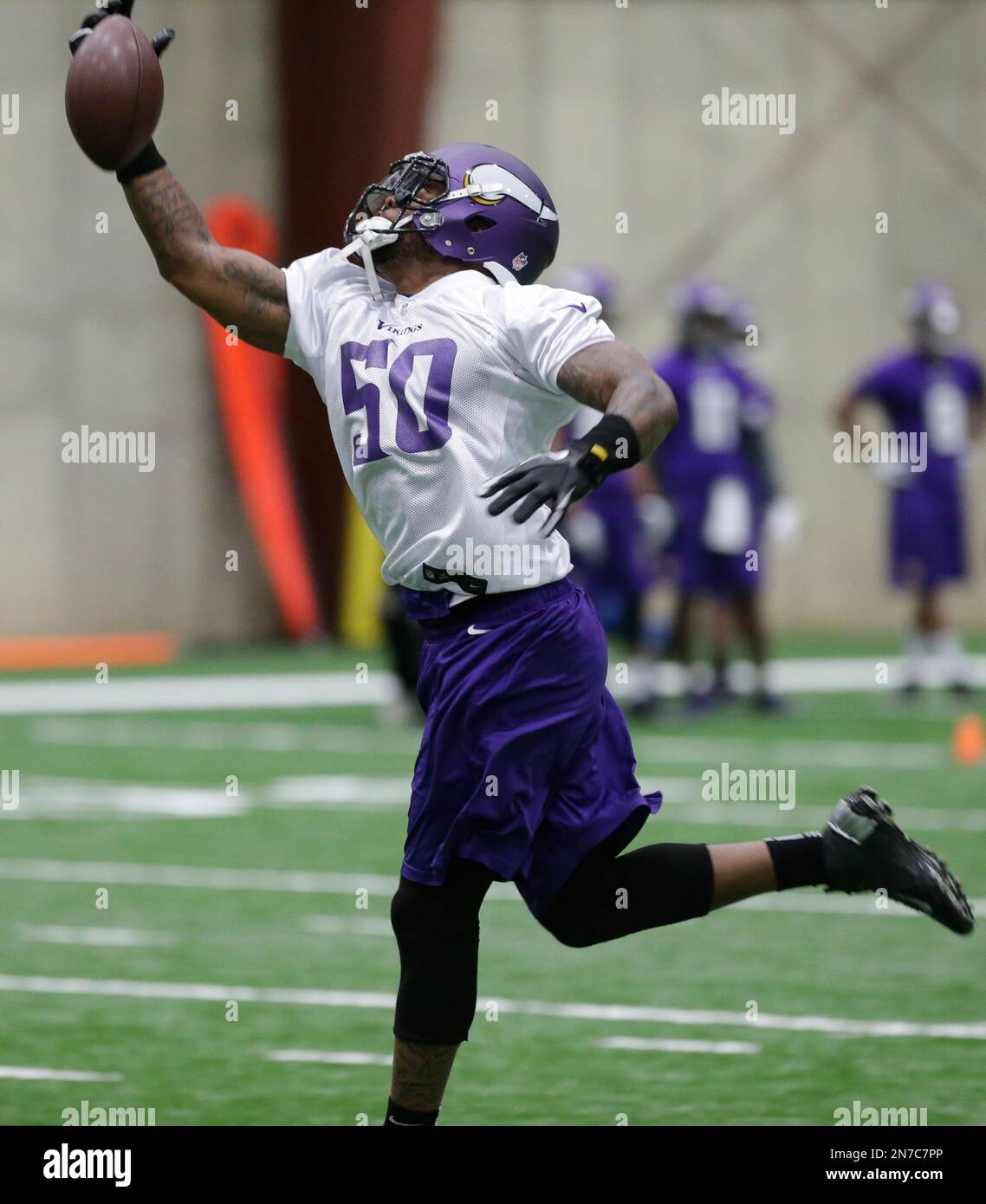 Minnesota Vikings linebacker Erin Henderson (50) is shown shown during ...