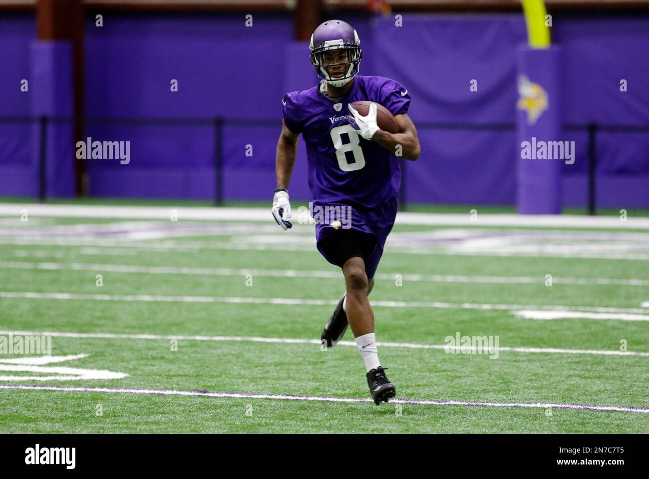 Minnesota Vikings wide receiver Erik Highsmith (8) is shown shown ...