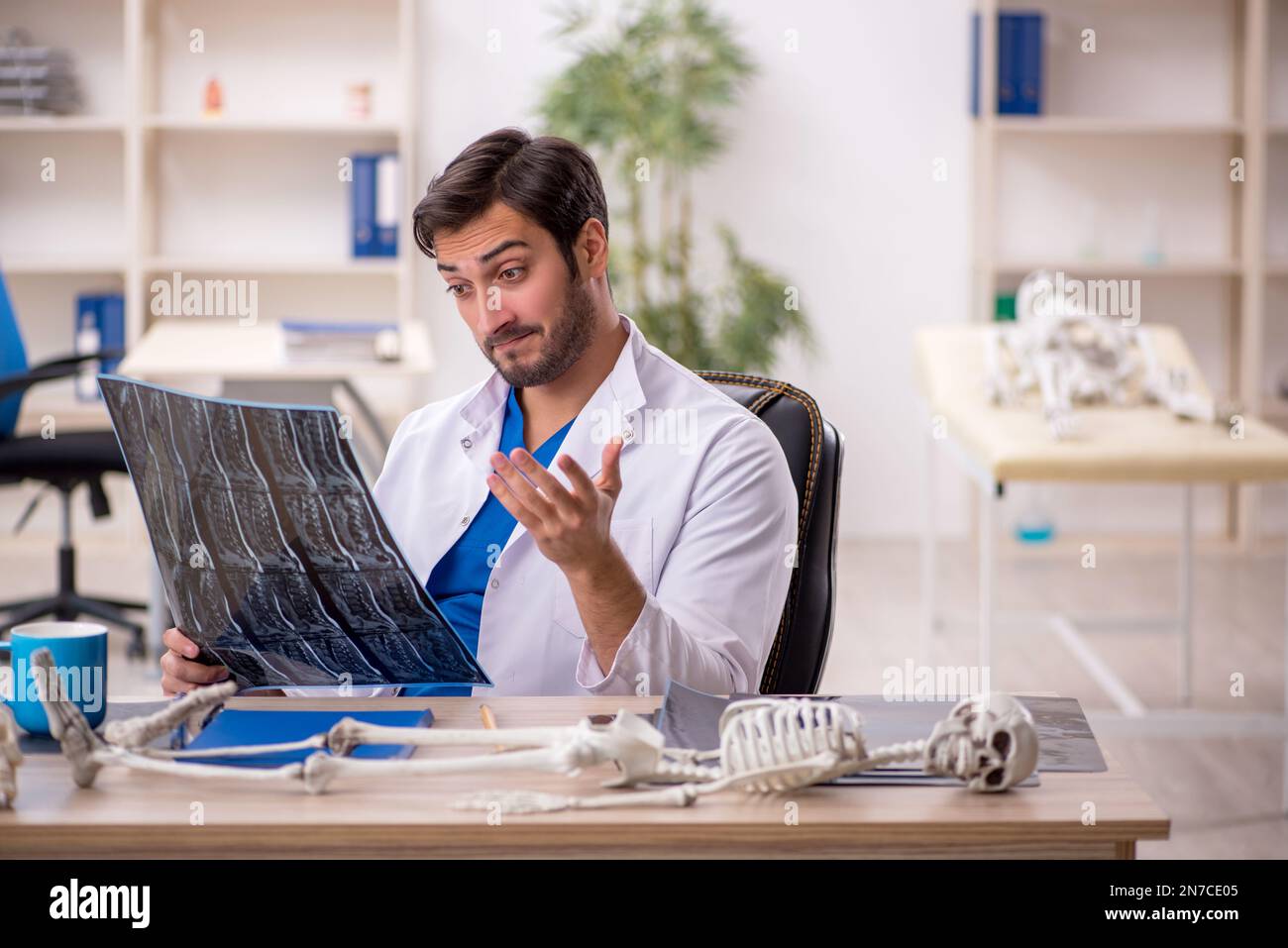 Young doctor radiologist studying human skeleton Stock Photo - Alamy