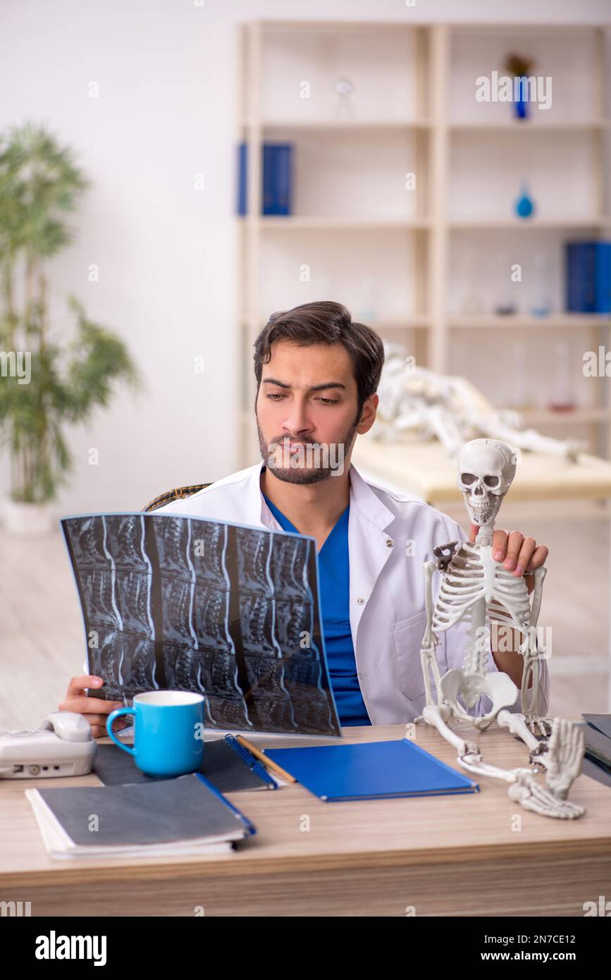 Young doctor radiologist studying human skeleton Stock Photo - Alamy