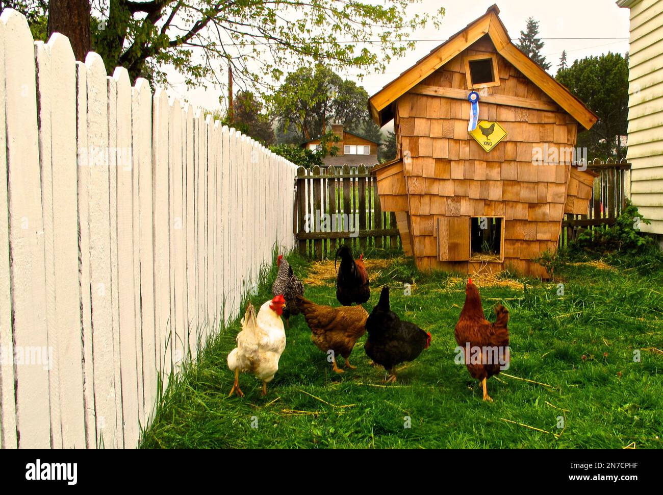 This image taken on April 20, 2013 shows a "Crooked Coop" in Clinton ...