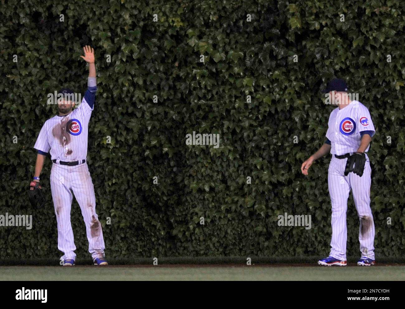 Chicago Cubs center fielder David DeJesus left, signals and right ...