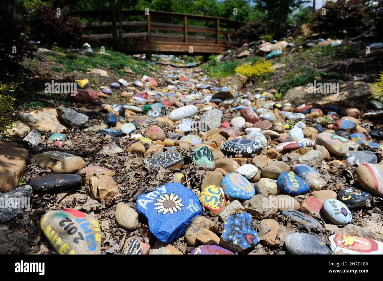 Rocks in a stream bed painted by campers are shown during a Foresters ...