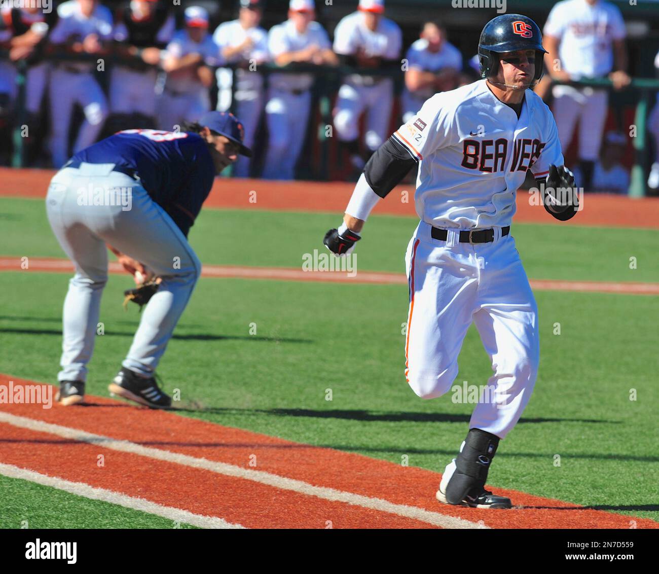 UTSA pitcher Nolan Trabanino, left, picks up a bunt by Oregon State's ...
