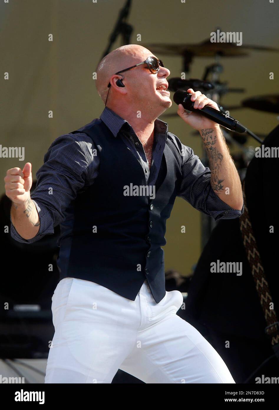 Pitbull Singer Arm Tattoos