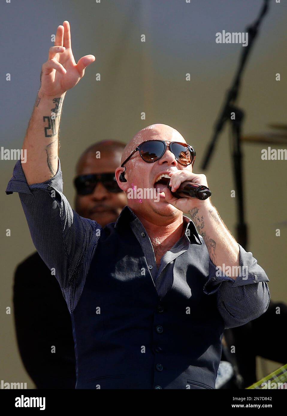 Pitbull Singer Arm Tattoos