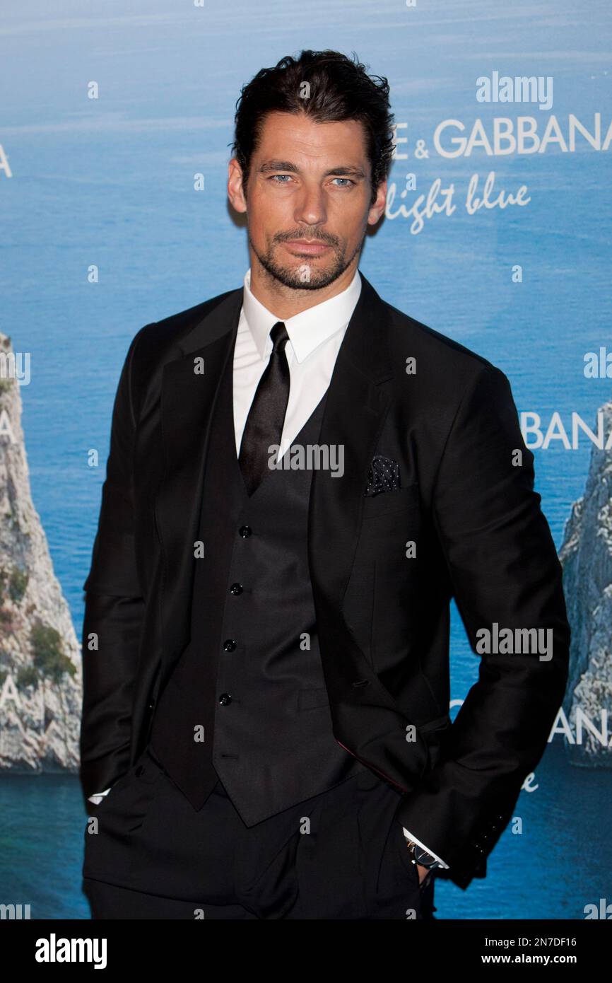 The British model David Gandy poses during the photocall of ...
