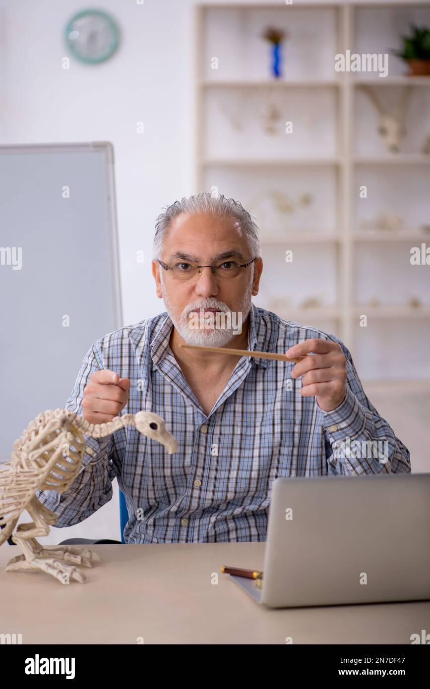 Old paleontologist examining ancient animals at lab Stock Photo - Alamy