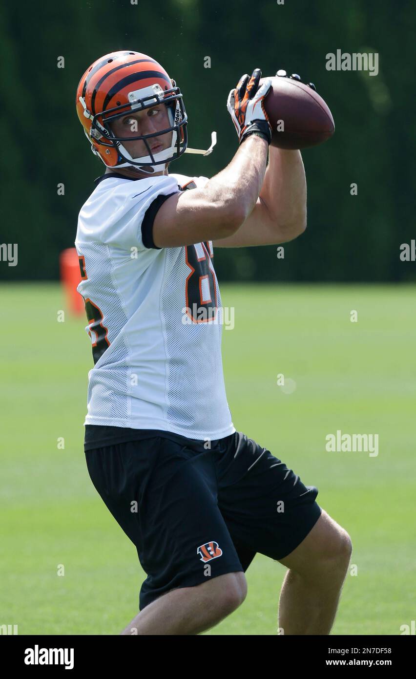 Cincinnati Bengals tight end Tyler Eifert catches a pass during an OTA ...