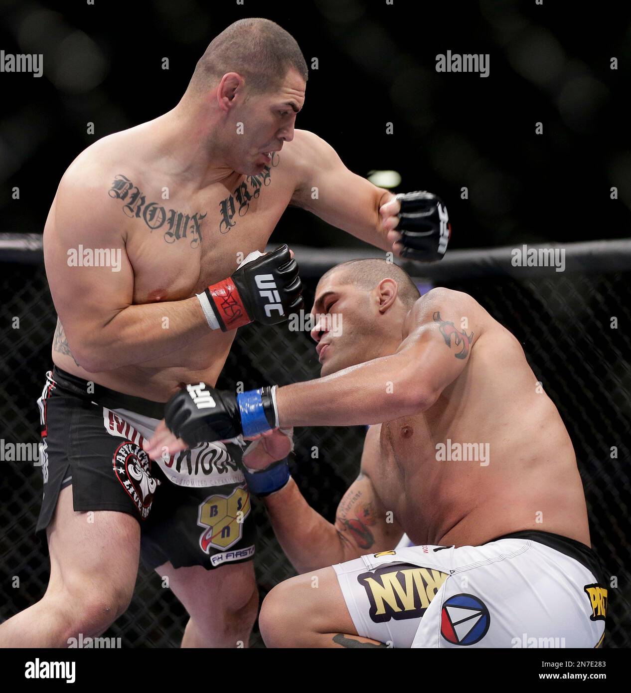 Cain Velasquez Knockouts