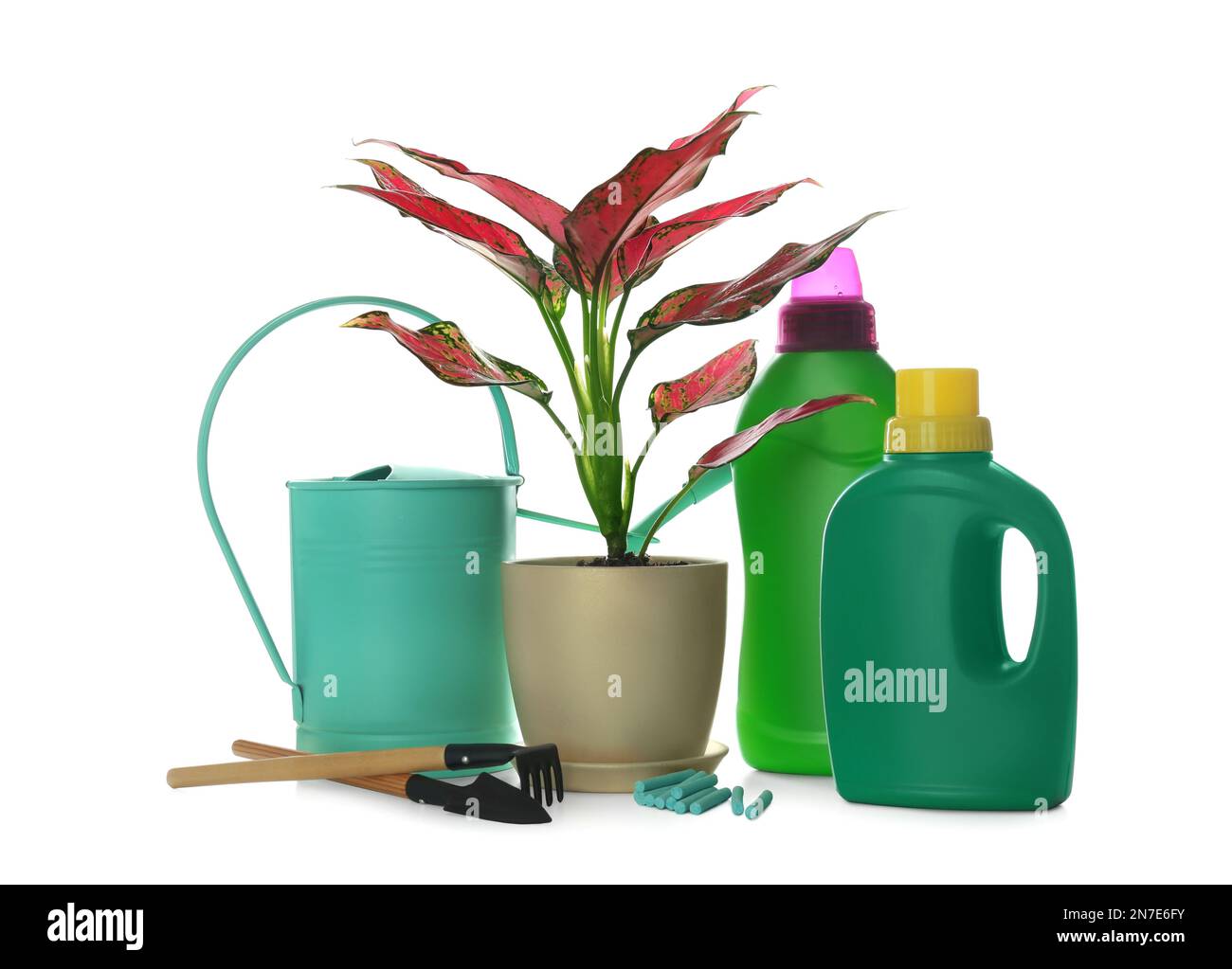 Chemical use in gardening Cut Out Stock Images & Pictures - Alamy