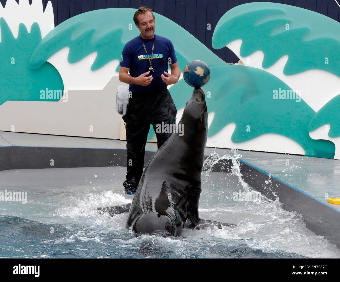 Sea lion Duke performs with trainer Guenter Skammel during a preview of the sea lion show at the ...