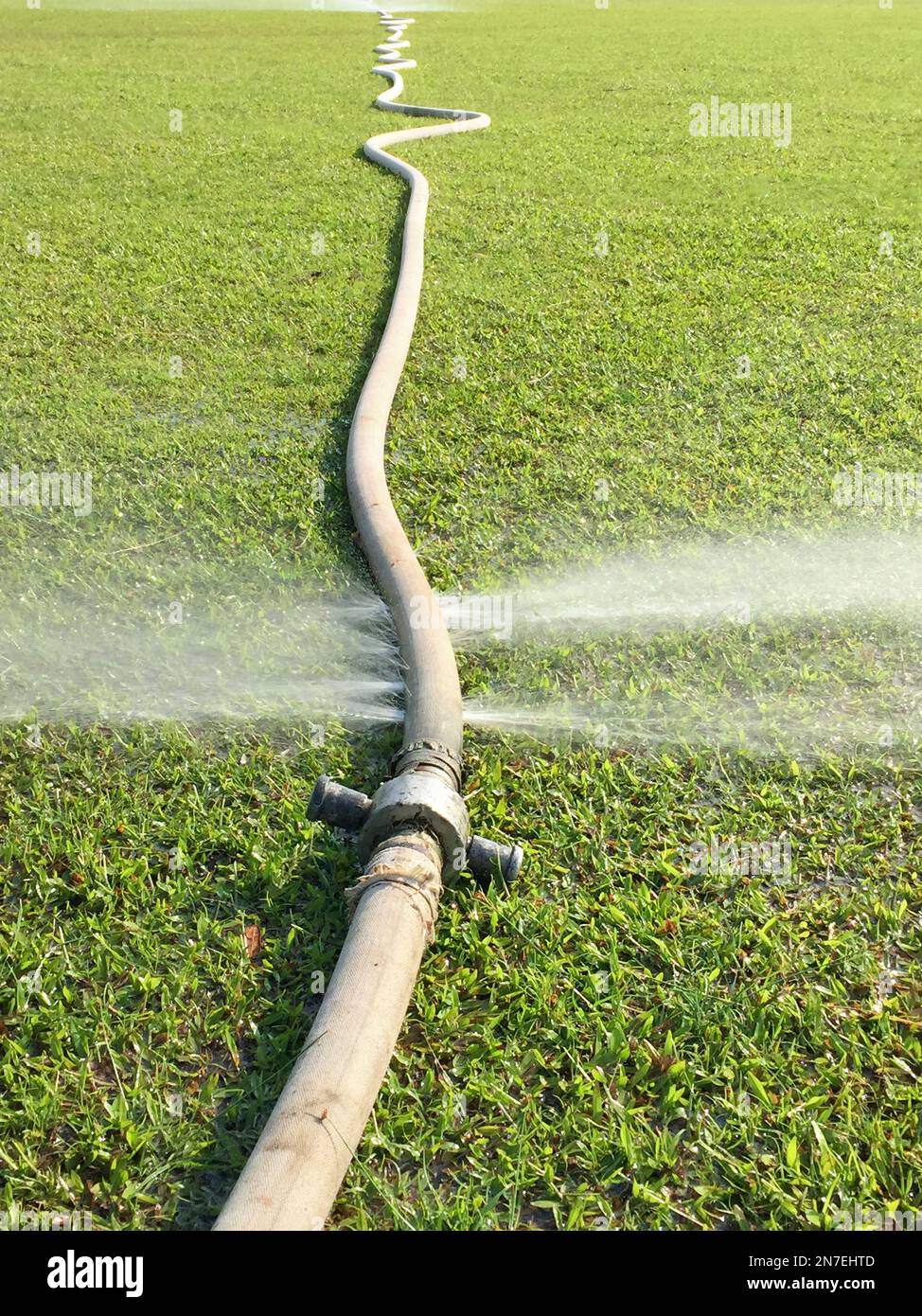 wasting water - water leaking from hole in a hose Stock Photo - Alamy