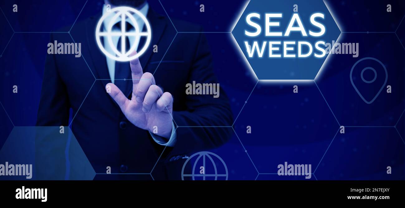 Inspiration showing sign Sea Weeds. Word for Large algae growing in the ...