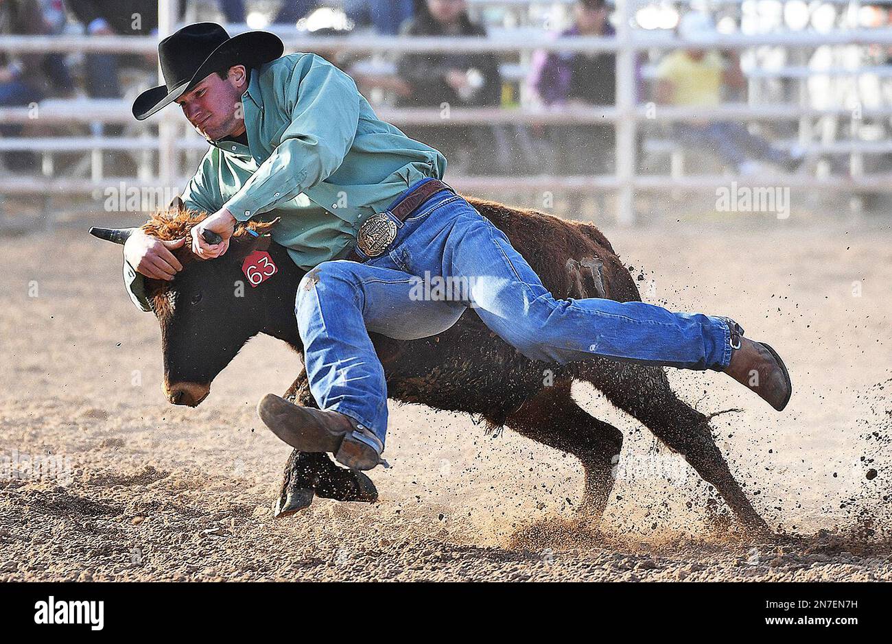 Haines Oregon Rodeo at Daryl Pulver blog