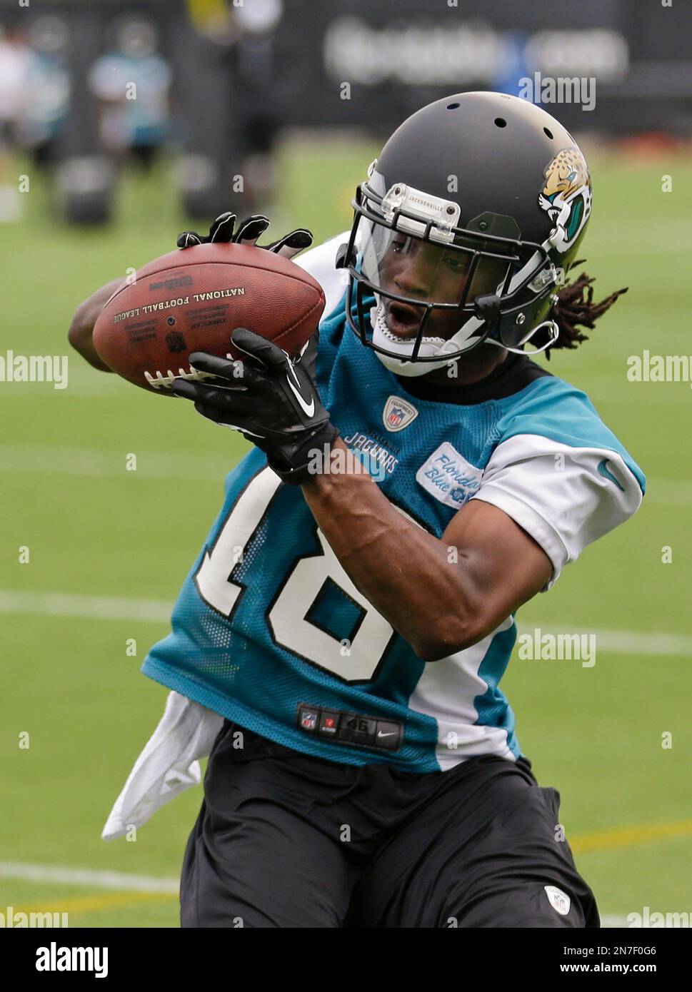 Ace Sanders Jaguars