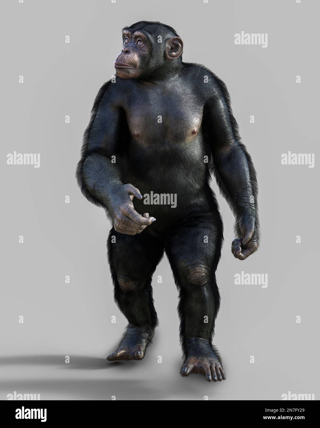 Chimpanzee artwork hi-res stock photography and images - Alamy