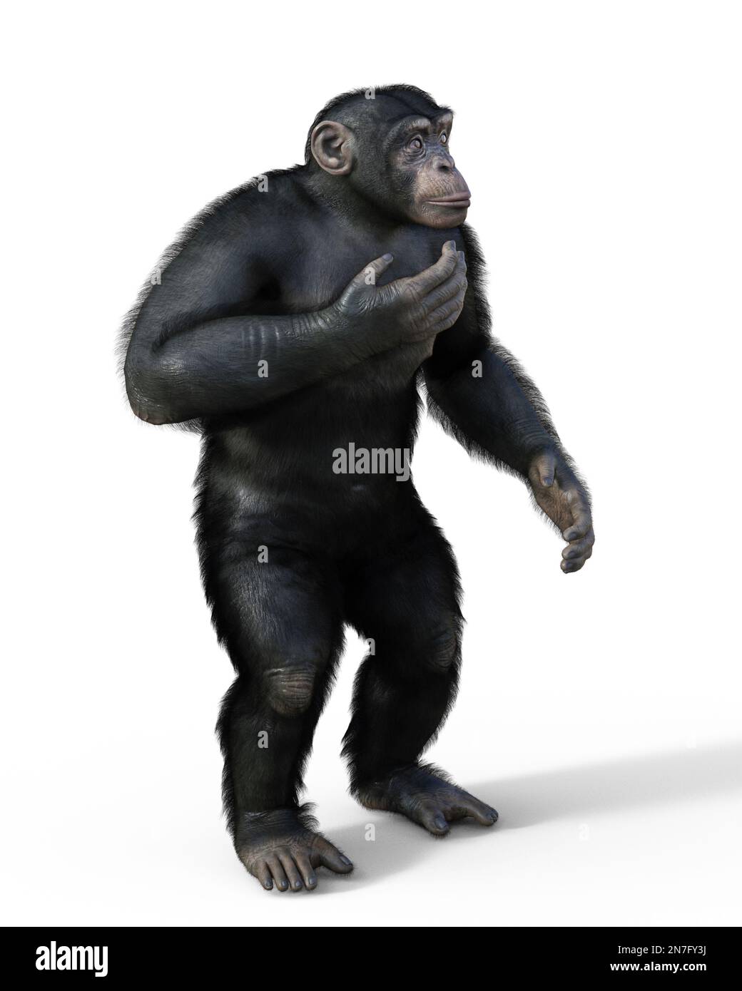 Illustration chimpanzee Cut Out Stock Images & Pictures - Alamy
