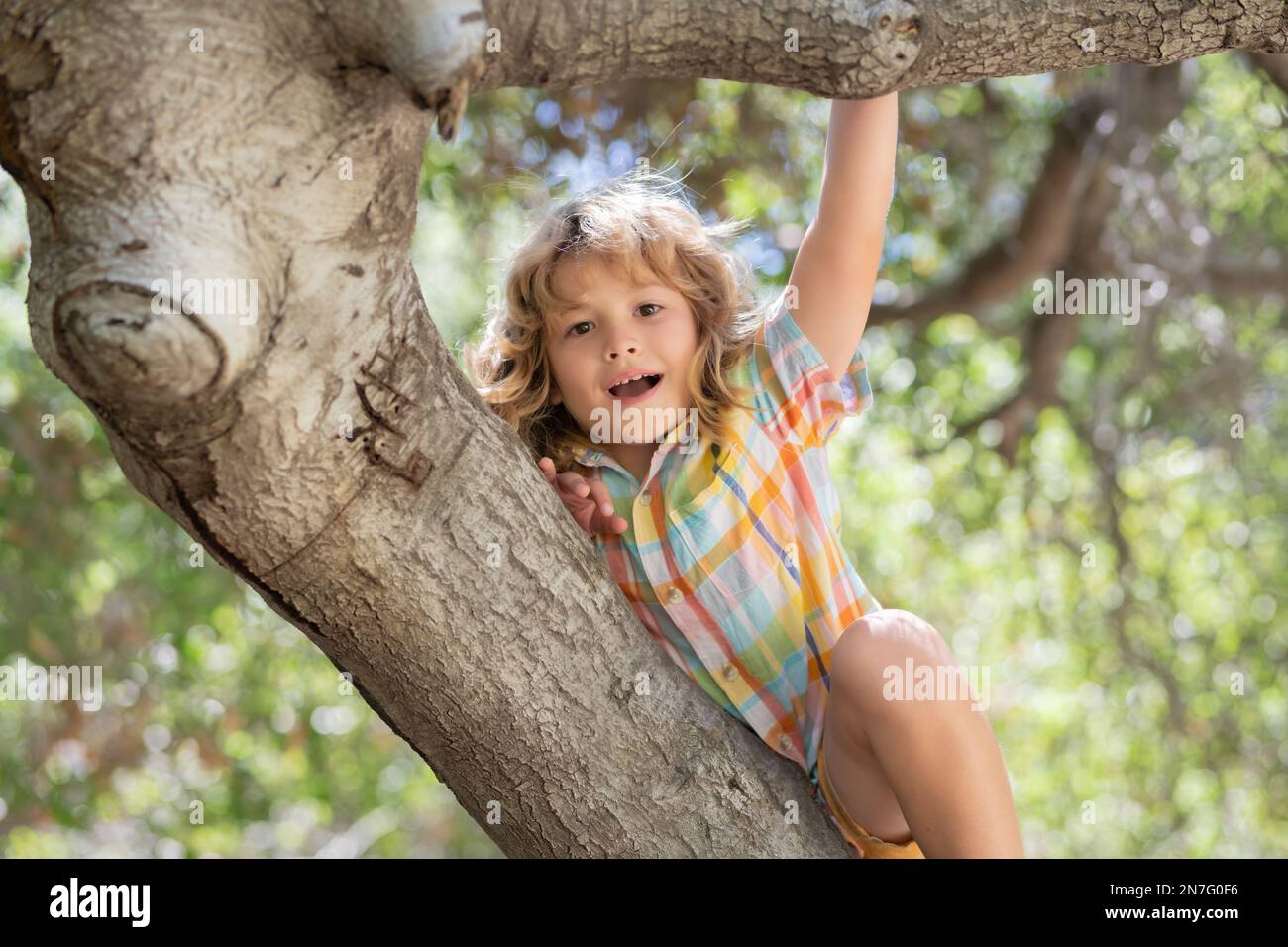 Funny child climbing a tree in the garden. Active kid playing outdoors ...