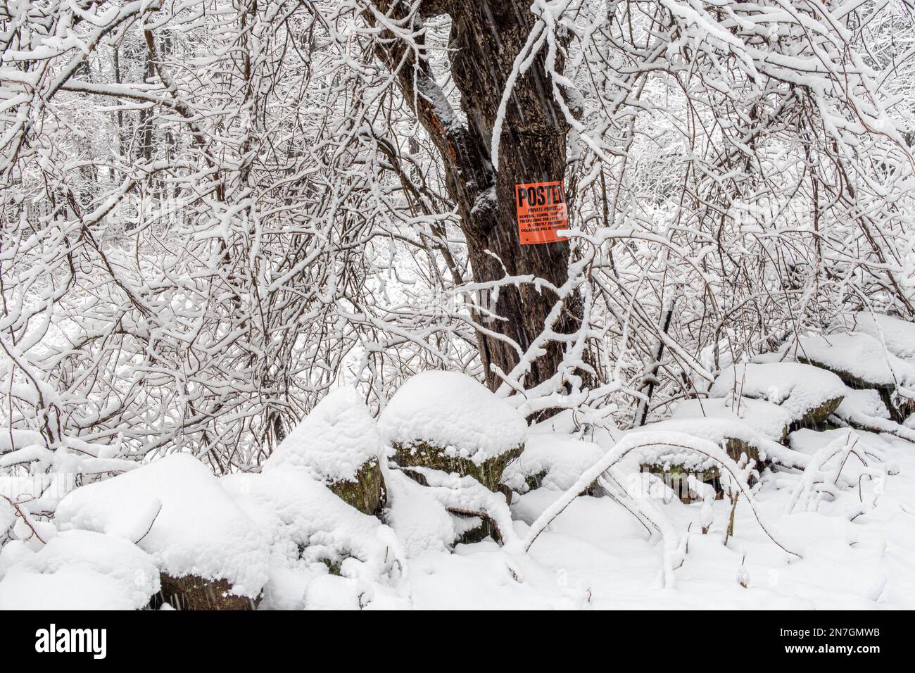 Snow from winter storm hi-res stock photography and images - Alamy