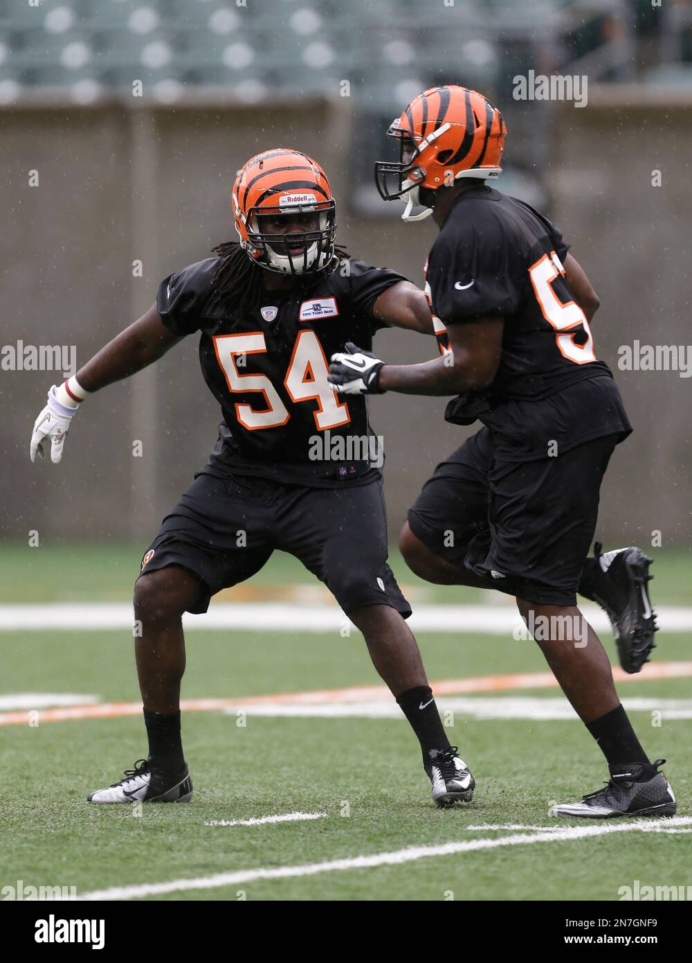 Cincinnati Bengals rookie linebacker Jayson DiManche (54) runs a drill ...