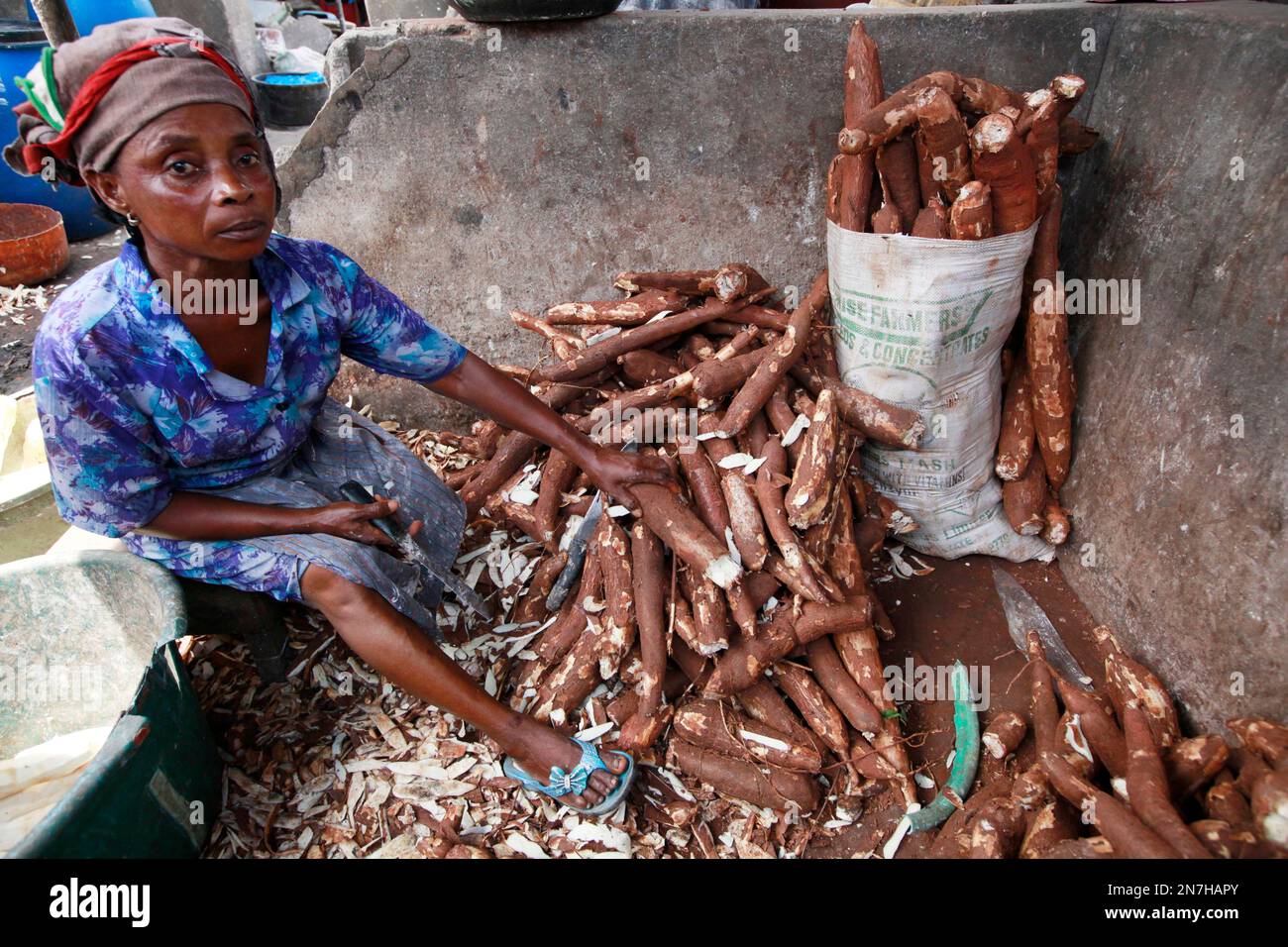 In this photo taken Friday, May 3, 2013. a woman peels cassava to make ...