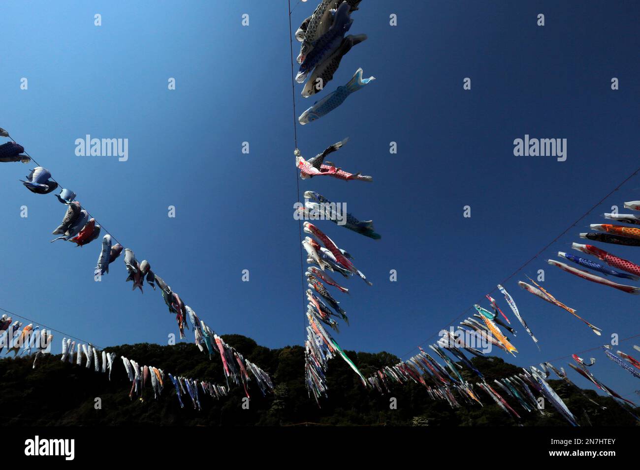 Colorful carp streamers flutter in the air over the Sagami River in ...