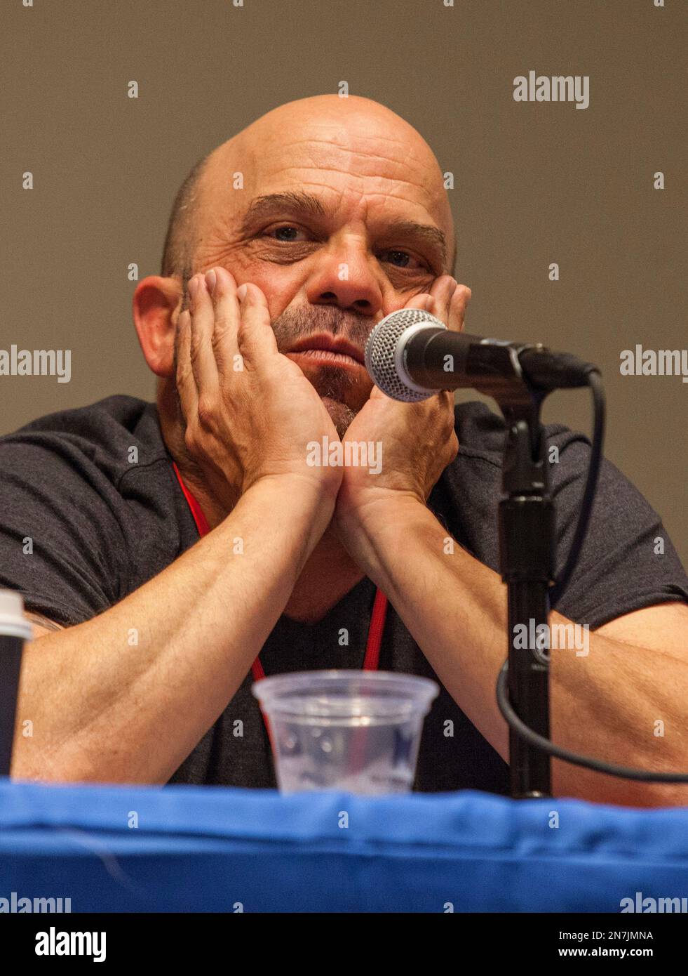 Actor Lee Arenberg attends the Pirates of the Caribbean panel at the ...