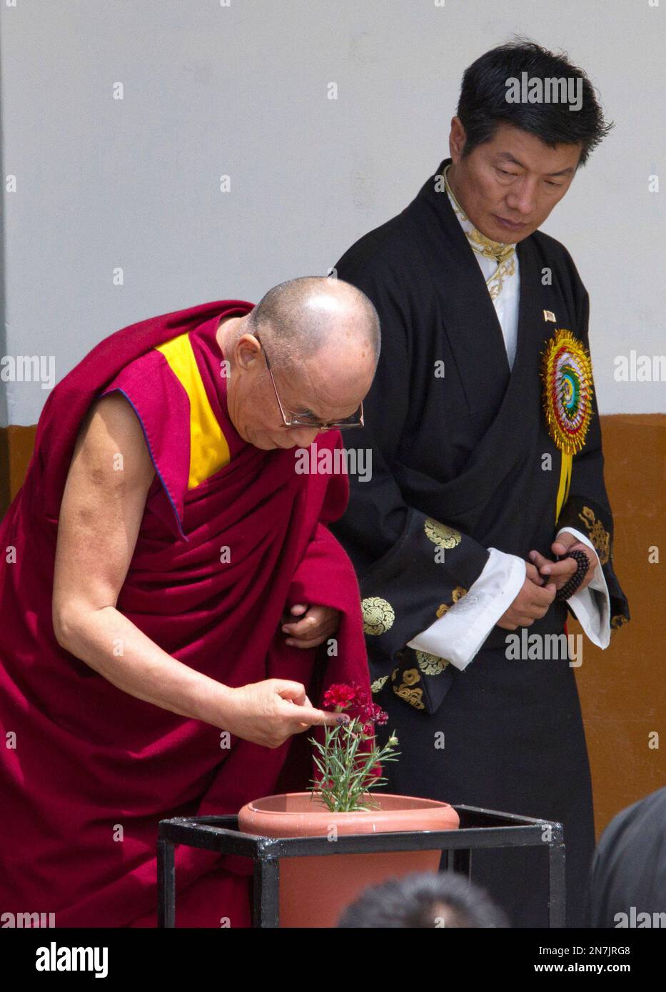 Tibetan spiritual leader the Dalai Lama examines a potted plant as ...