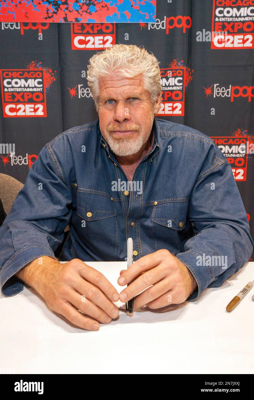 This April 26, 2013 photo shows actor Ron Perlman, from the TV series ...