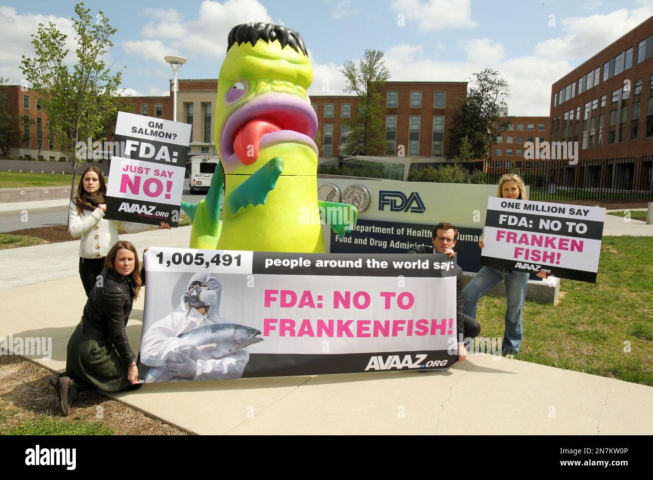 A giant "Frankenfish" sculpture installed by Avaaz outside of the FDA ...