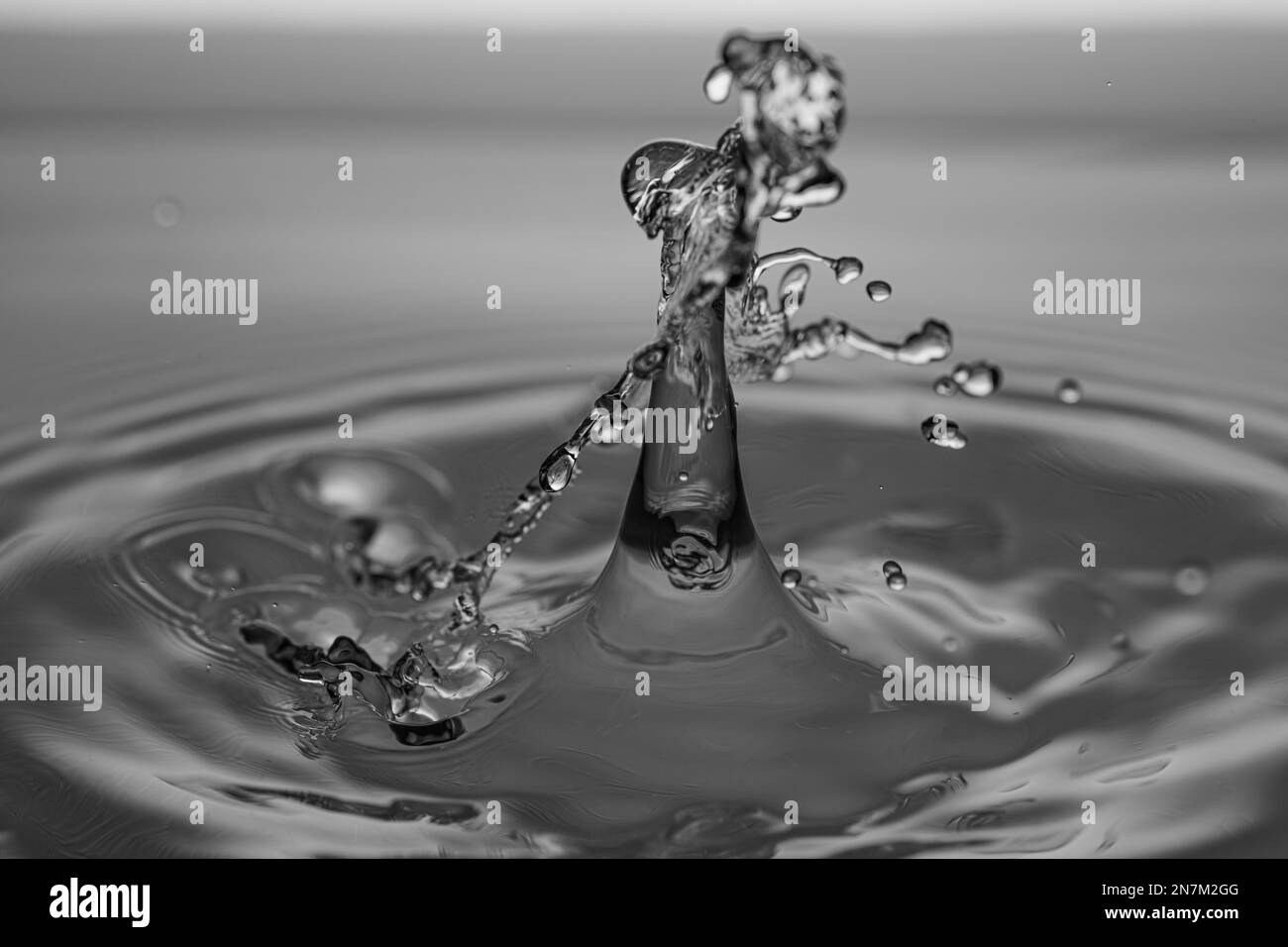 Macro photography water drops photographed with Pluto trigger Stock ...
