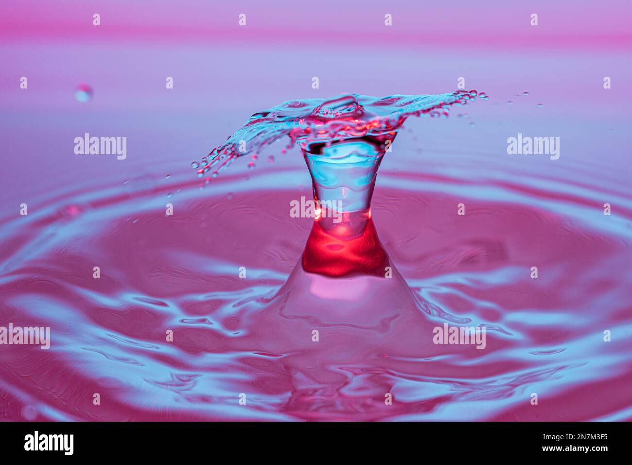 Macro photography water drops photographed with Pluto trigger Stock ...