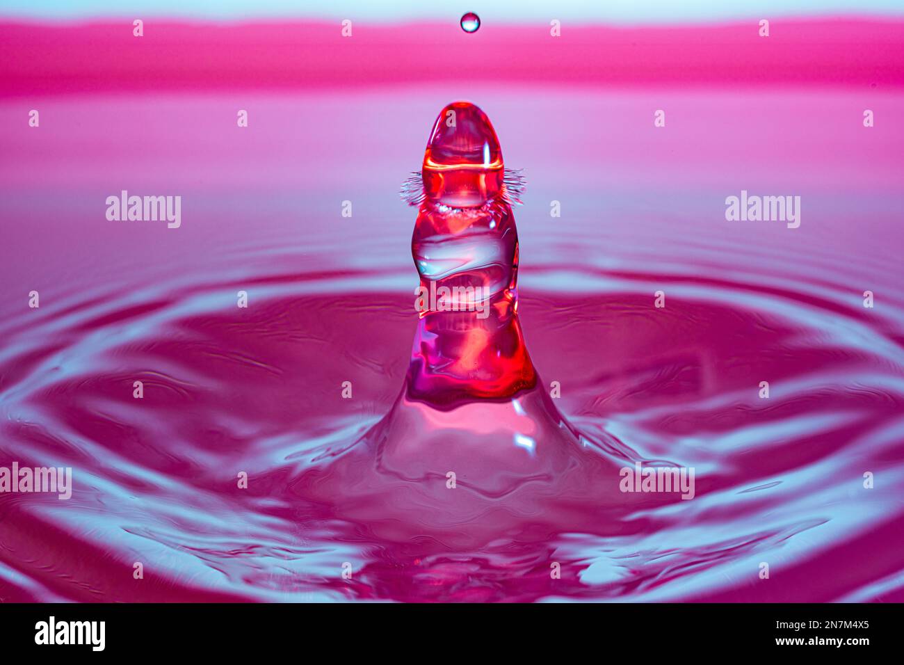 Macro photography water drops photographed with Pluto trigger Stock ...