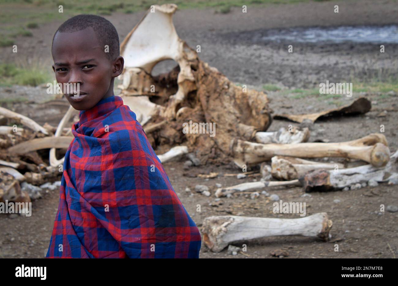 In this Wednesday, Feb. 13, 2013 photo, a Maasai boy stands near the ...
