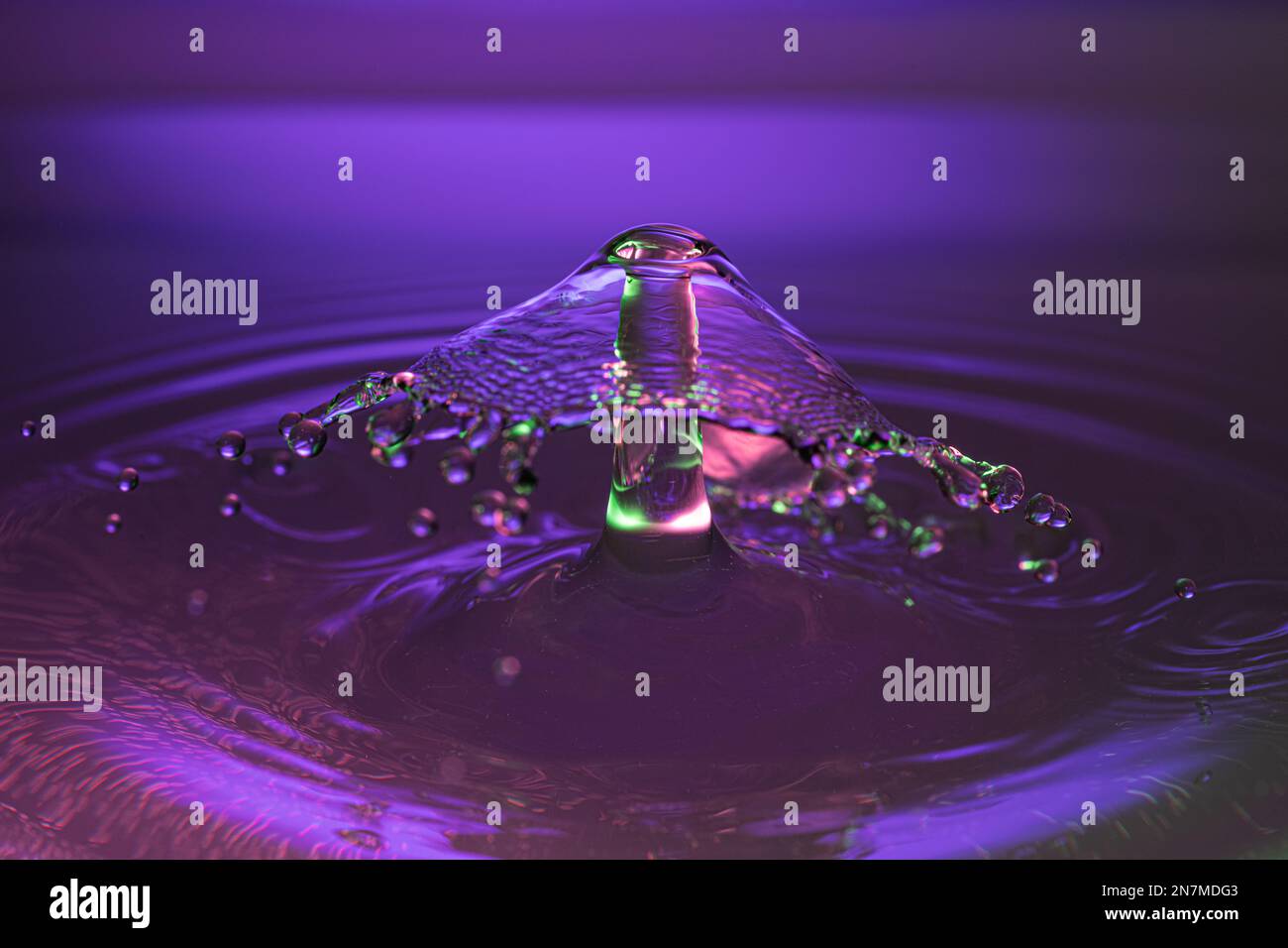 Macro photography water drops photographed with Pluto trigger Stock ...