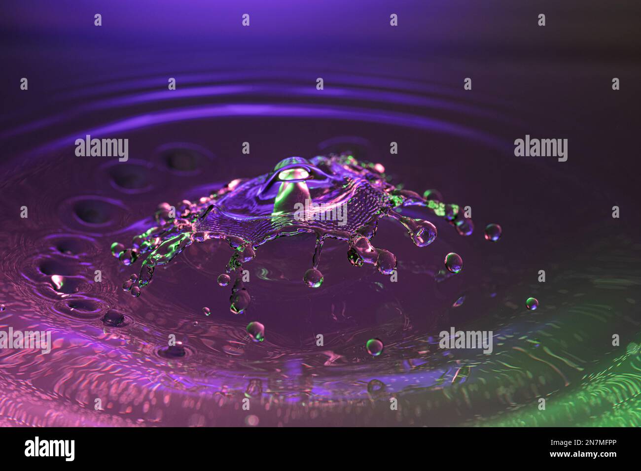 Macro photography water drops photographed with Pluto trigger Stock ...