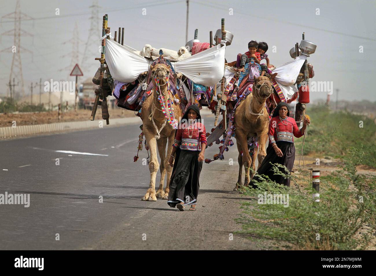 In this Wednesday, April 17, 2013 photo, Indian nomadic women walk with ...