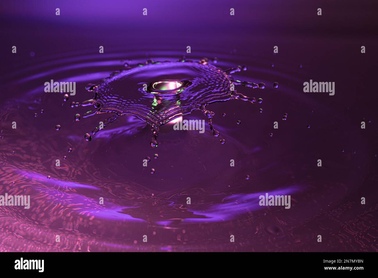 Macro photography water drops photographed with Pluto trigger Stock ...