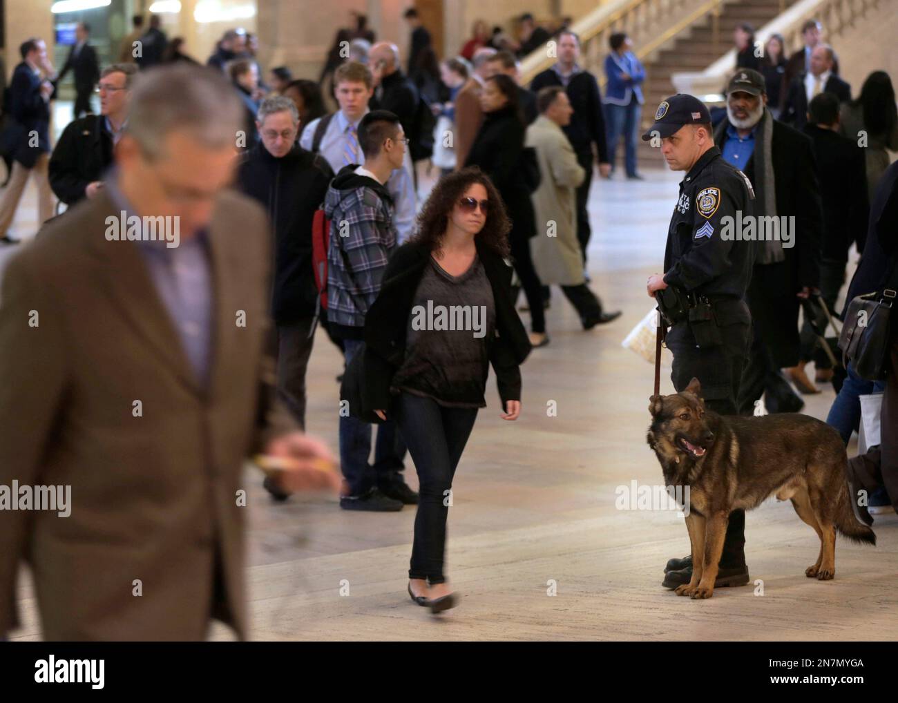 An MTA police officer with a dog patrols in Grand Central Station in ...