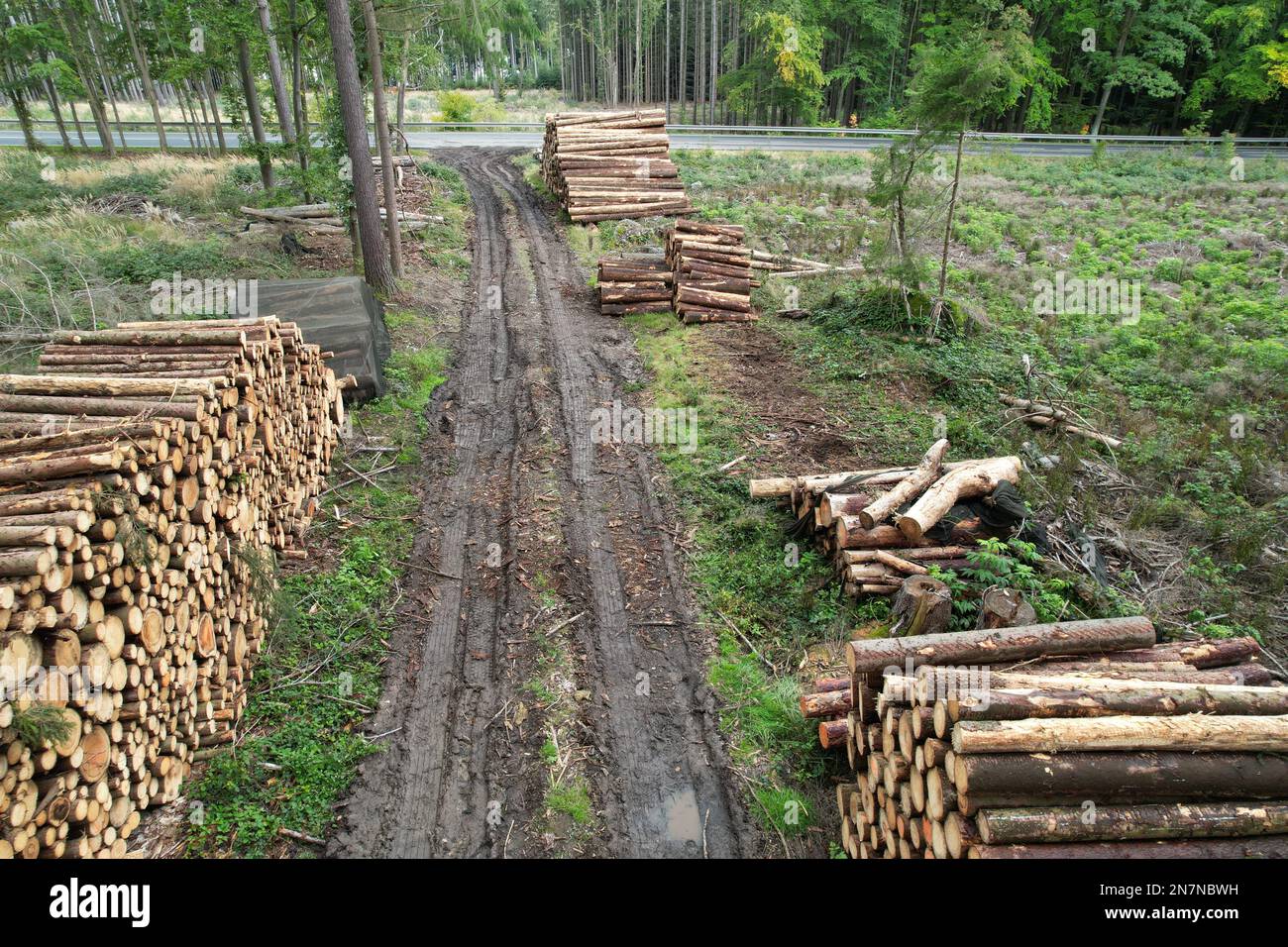 Aerial view stacked logs in hi-res stock photography and images - Alamy