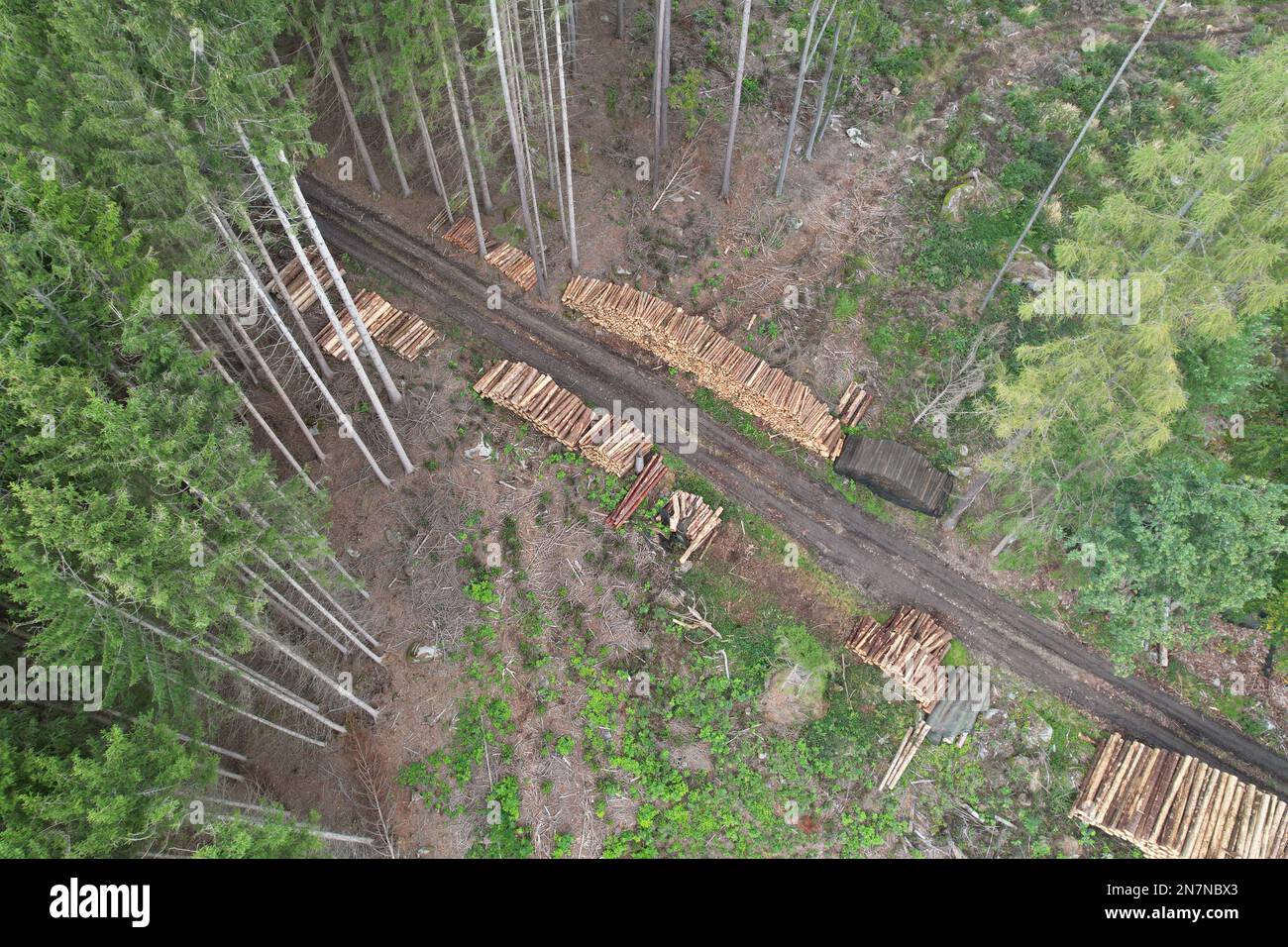 Aerial view stacked logs in hi-res stock photography and images - Alamy