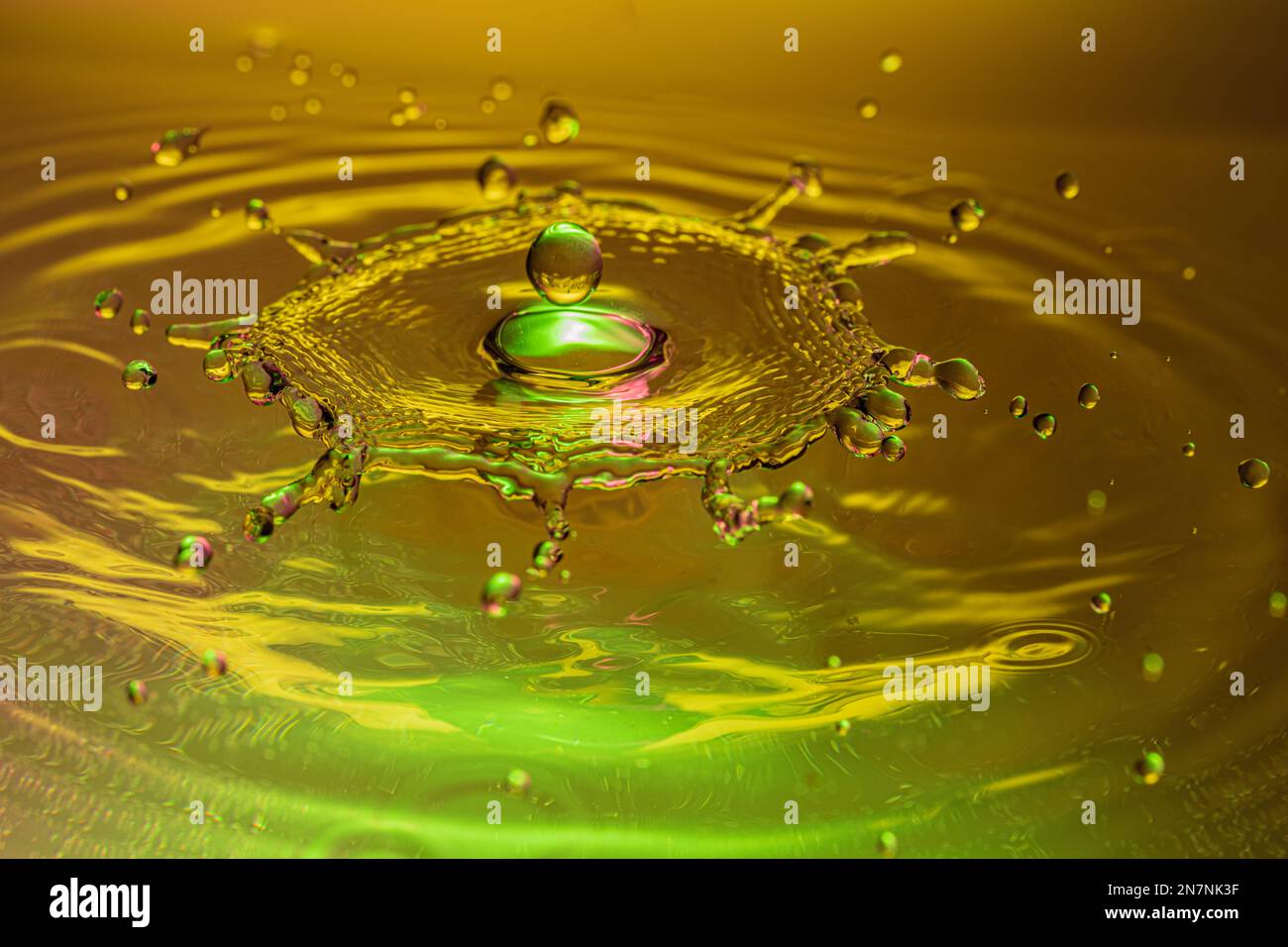 Macro photography water drops photographed with Pluto trigger Stock ...