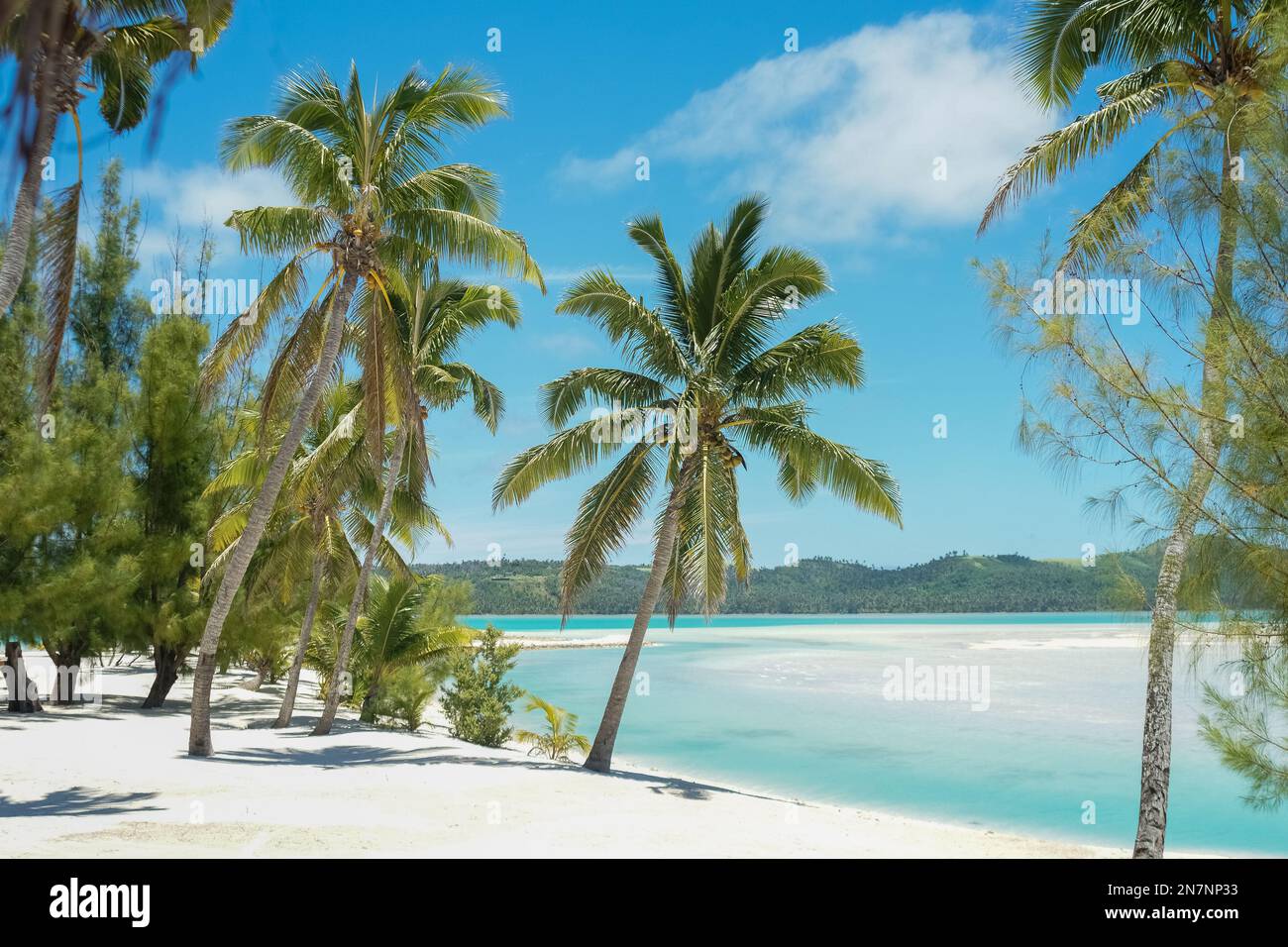 Swaying palm trees on white coral beach on atoll of Aitutaki in Cook ...