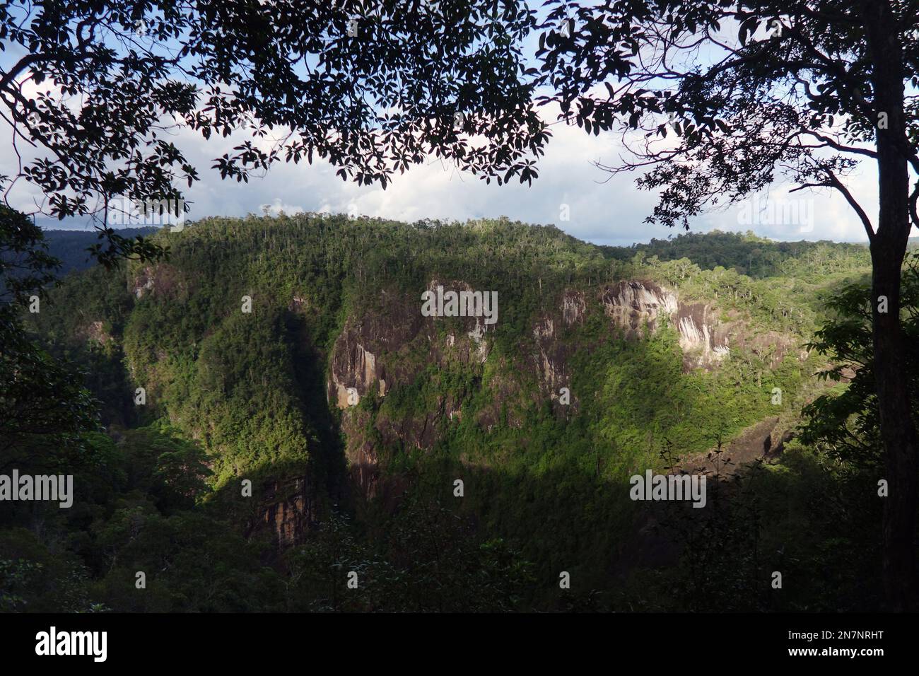 View over Tully Gorge, Tully Gorge National Park, near Ravenshoe ...
