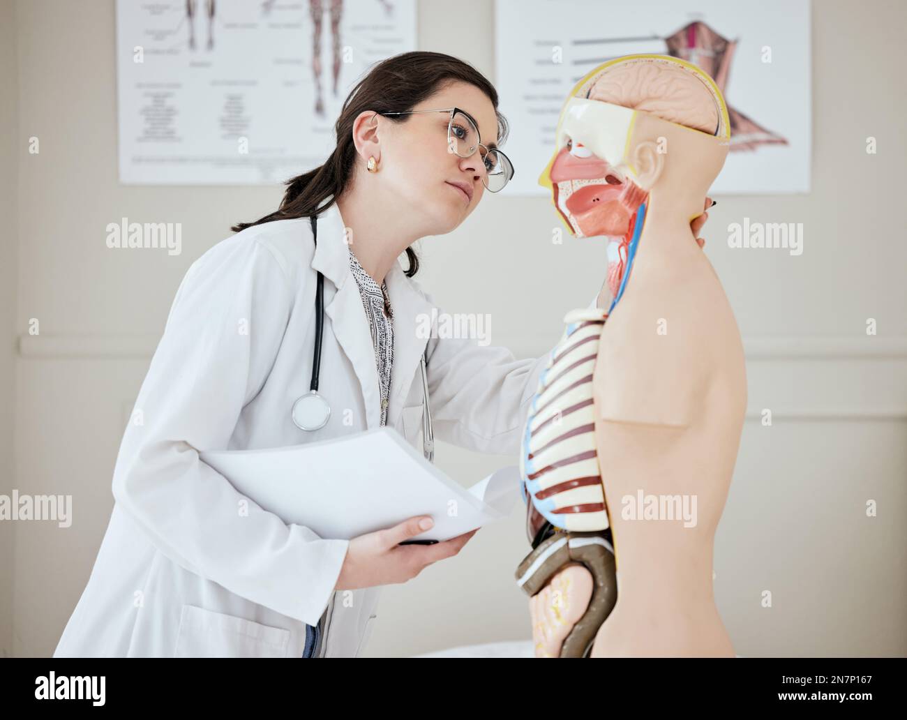 Refreshing my memory. a young female doctor examining a mannequin at a ...