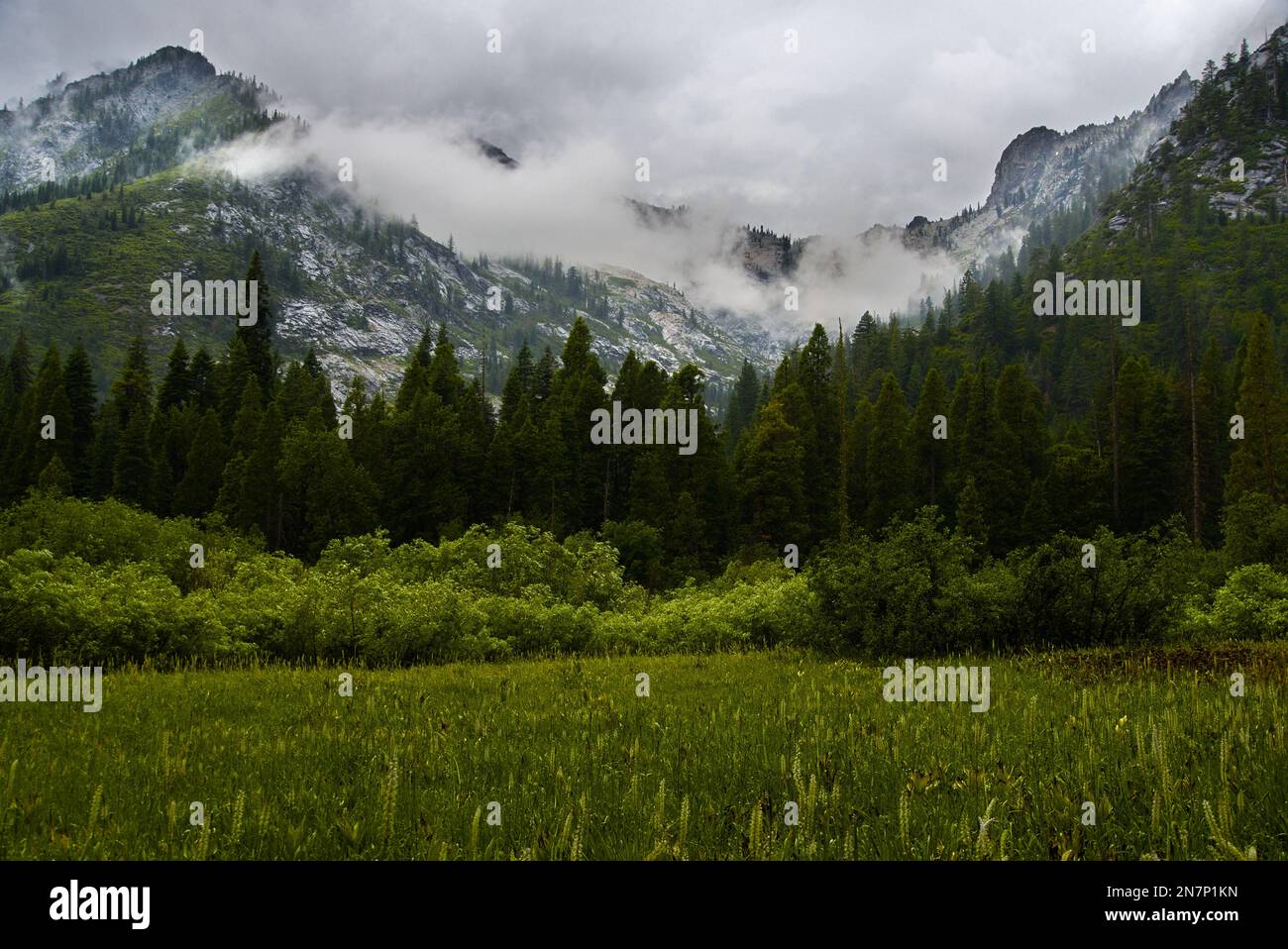 Meadows clouds hi-res stock photography and images - Alamy