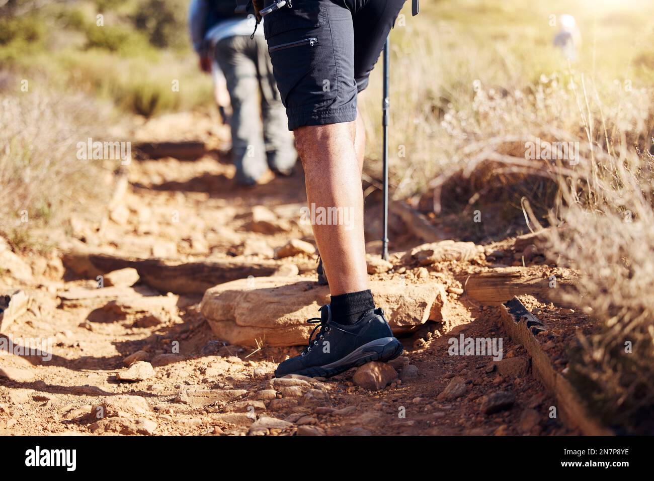 Closeup, legs and hiker in nature, fitness and exercise for wellness ...