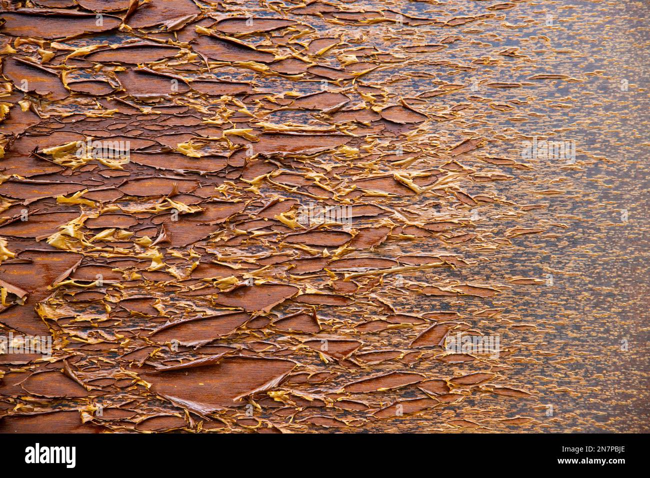 Brown plastic surface with peeling brown pvc vinyl film texture ...