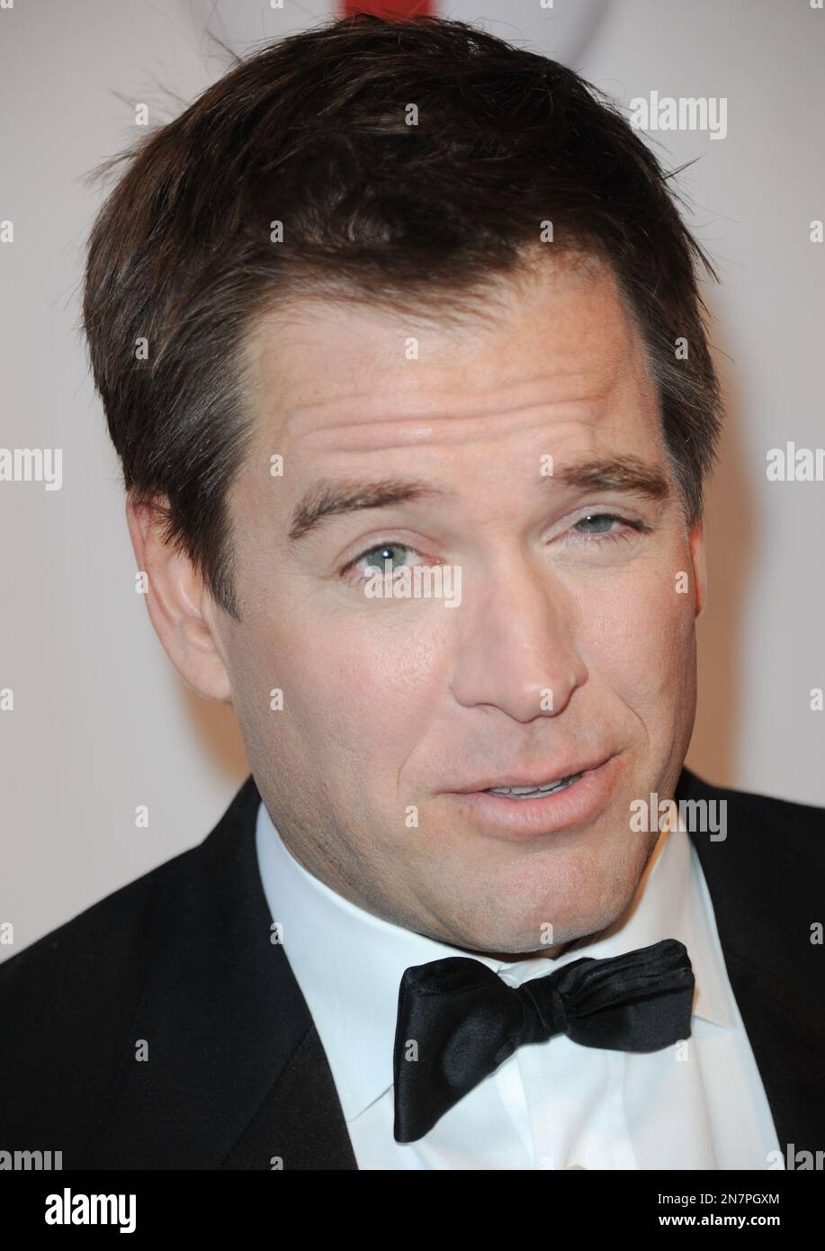 Michael Weatherly arrives at the American Red Cross 7th Annual Red Tie ...